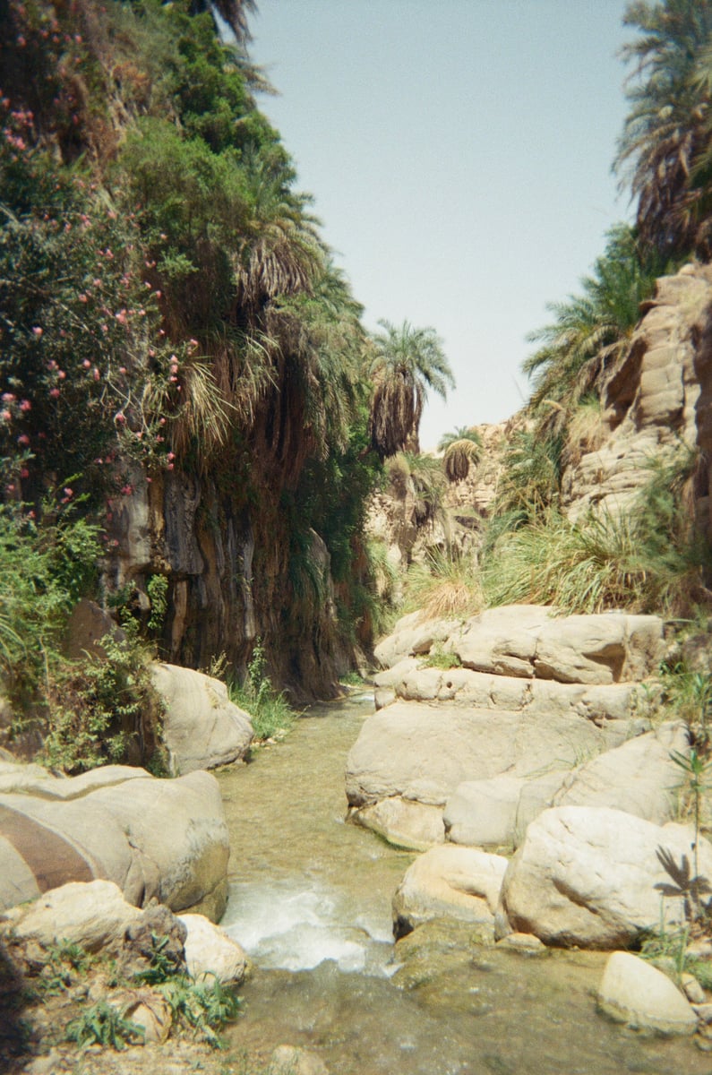 Wadi Bin Hammad: A Jordanian Oasis