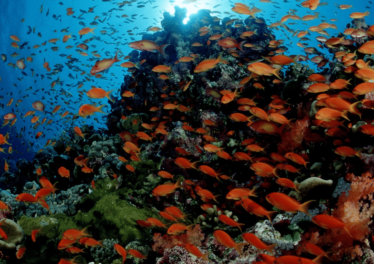 Experience Eco and Nature in Jordan