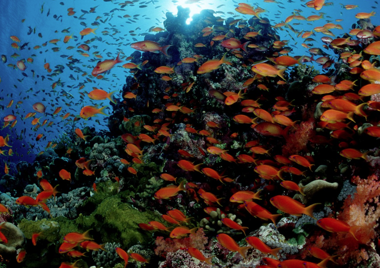 Experience Eco and Nature in Jordan