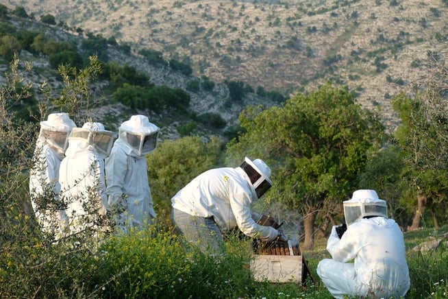 Social Enterprise: Baraka Destinations