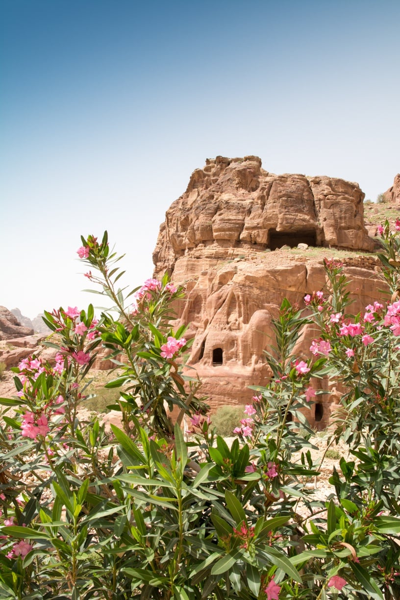 Experience Adventure in Jordan